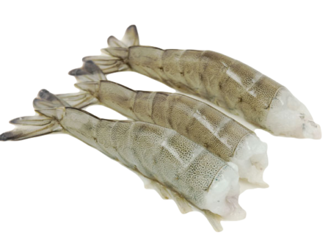 Vannamei | Rupsha Fish